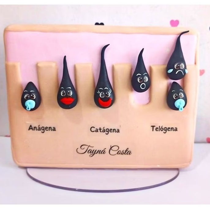 Maquete Didática feito em Biscuit Ciclo dos pêlos/Tricologia /Lash ...