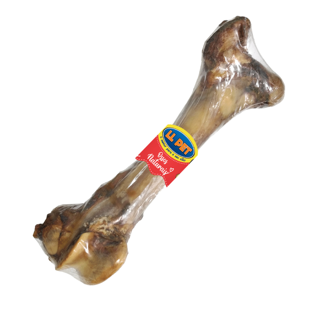 Big Femur Osso Natural Bovino Desidratado Para Cães Ll Pet | Shopee Brasil