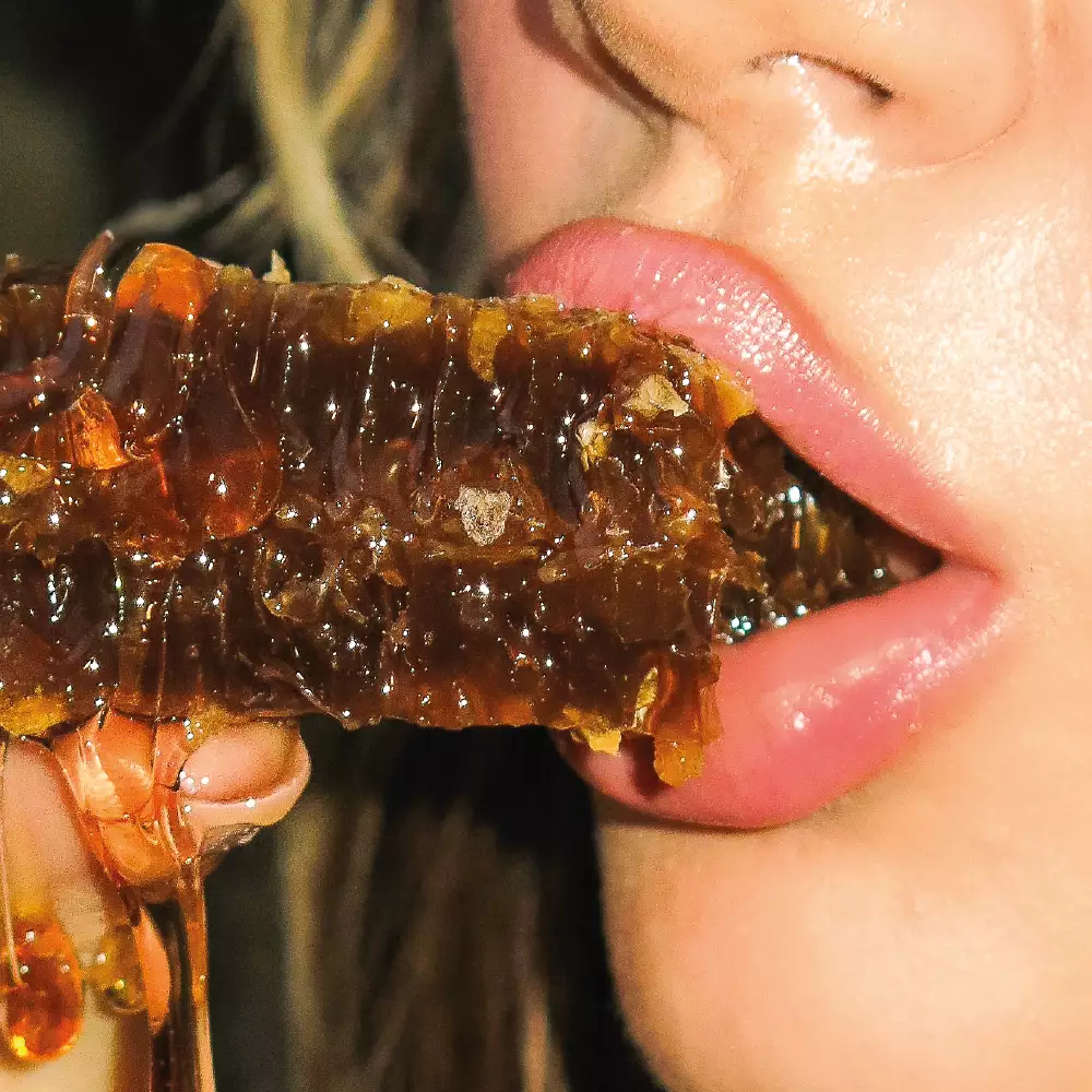 Gloss LIPHONEY - Gloss Mel - Fran By Franciny Ehlke Lip Honey | Shopee Brasil