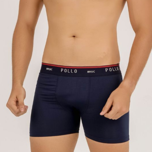 Kit 6 Cueca Boxer Box Lisa Masculina Pollo Basic Poliamida | Shopee Brasil