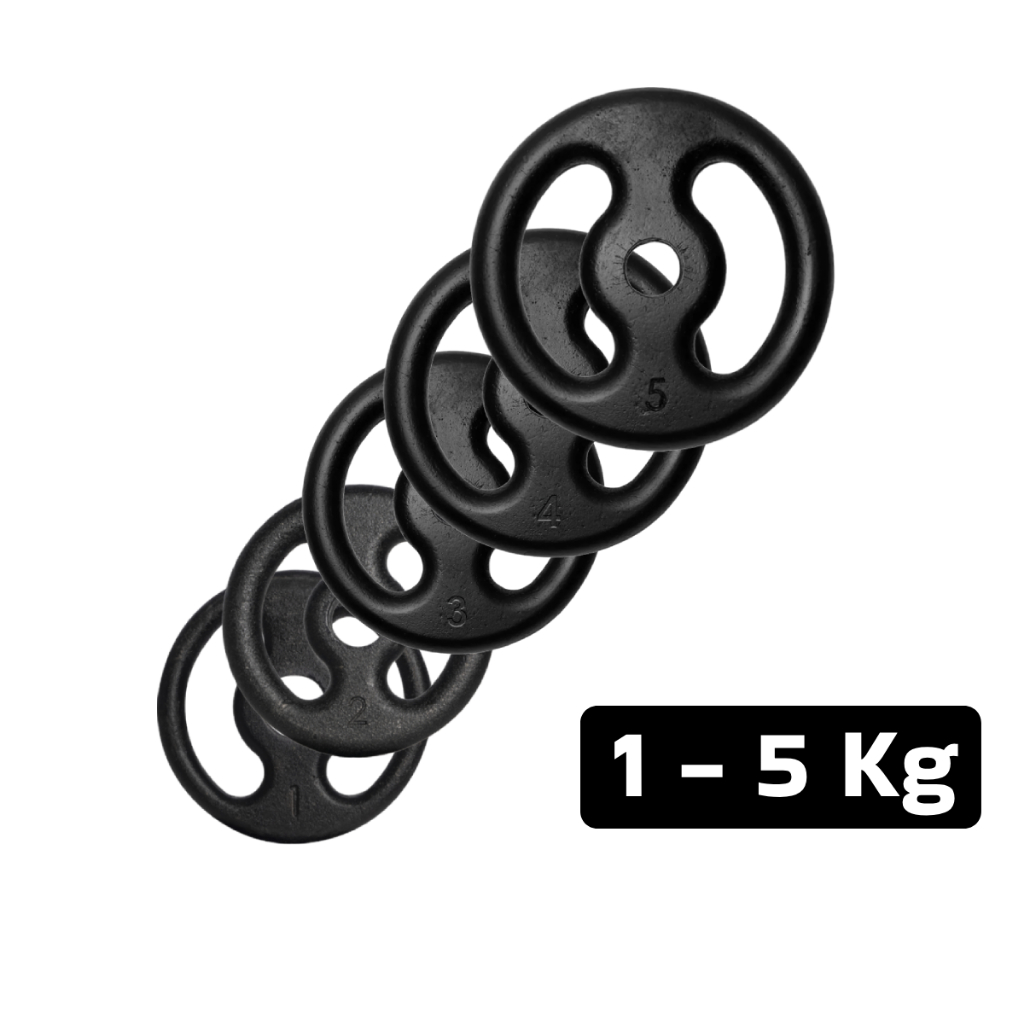 Anilha Pintada 1 à 5kg Peso De Academia Para Halter e Barra Musculação ...