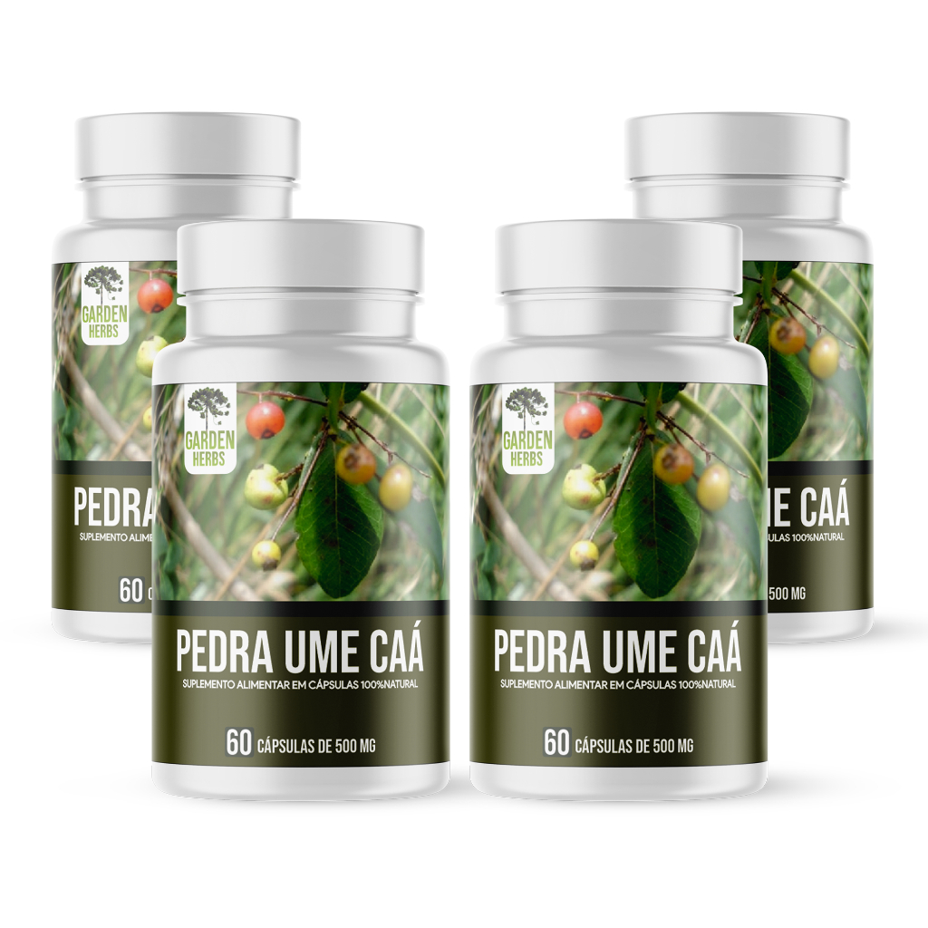 Kit 4 Frascos - Pedra Ume Caá ( Extrato da Planta ) 500 Mg - 60 ...