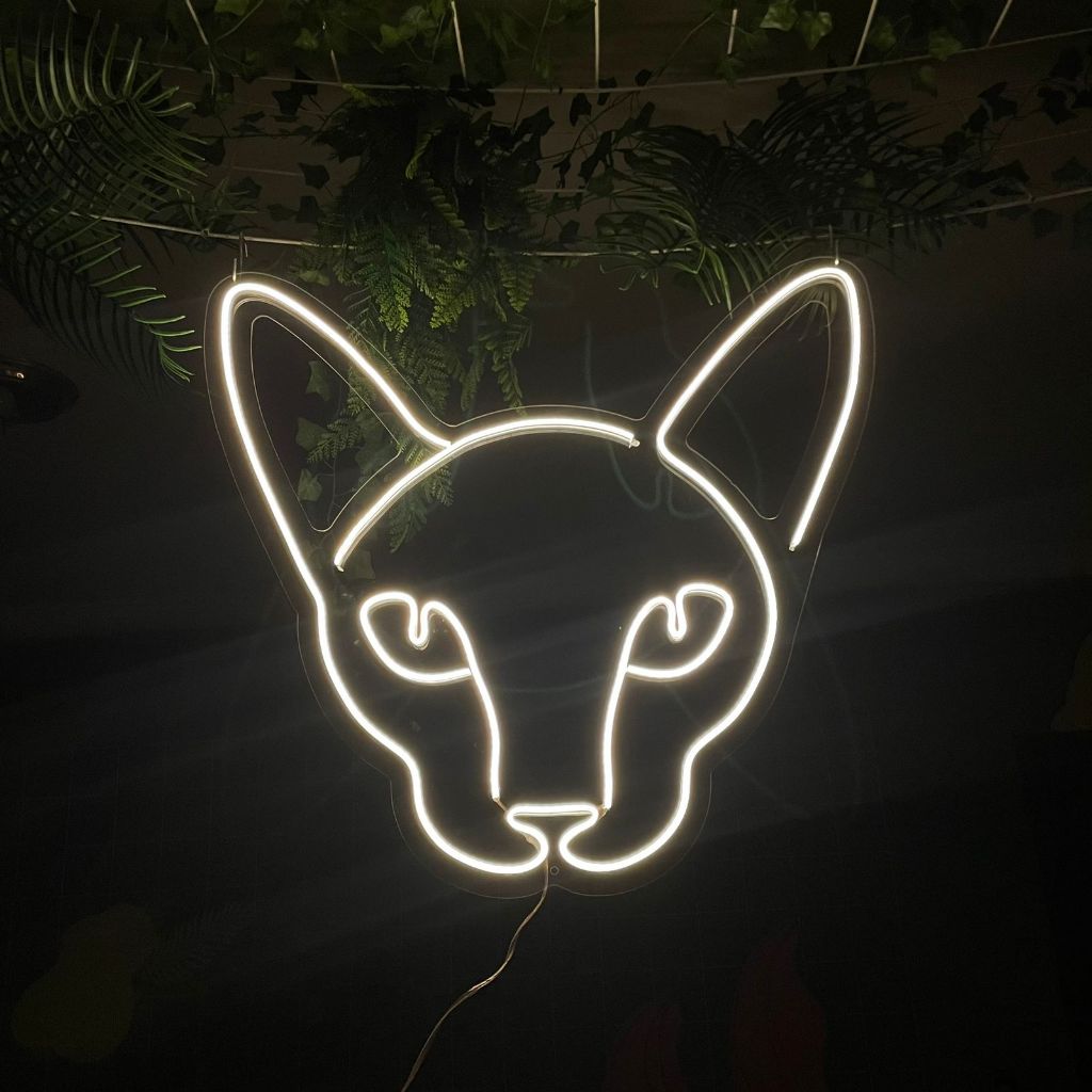 Luminária Led Neon Painel Luminoso Decoração Letreiro Gato Sphynx 65x70 ...