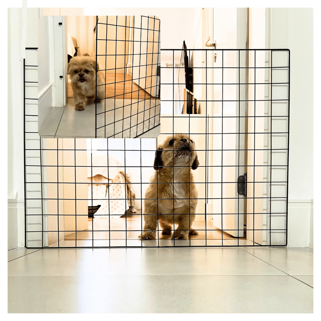 Grade Para Cachorro Tela Pet Grade Cerca De Metal | Shopee Brasil