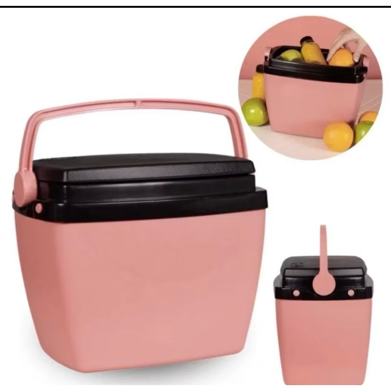 Caixa Cooler Térmico Rosa / Pêssego Cooler Pequeno 6 Litros Mor / 8 ...