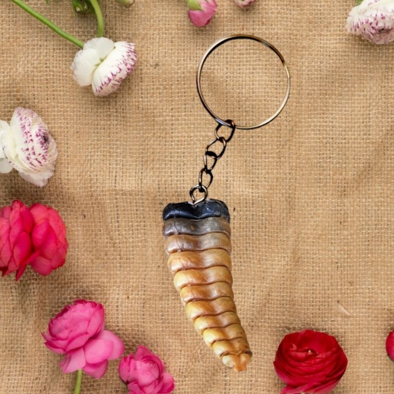 Chaveiro Grande Guizo de Cobra Cascavel Réplica | Shopee Brasil