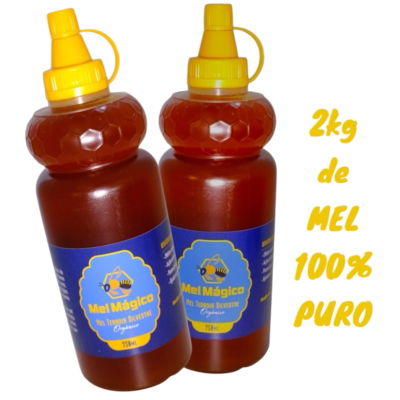 2kg de Mel 100% Puro Florada Silvestre + 1 bisnaga de 280g | Shopee Brasil