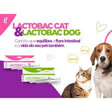 Suplemento Organnact Lactobac Dog e Cat 16g | Shopee Brasil