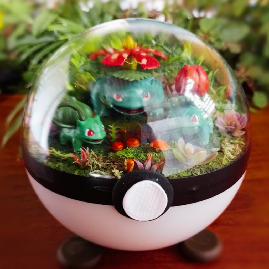 Paraíso Pokémon Evolução Bulbasaur, Diorama, Pokébola Personalizada 12 ...