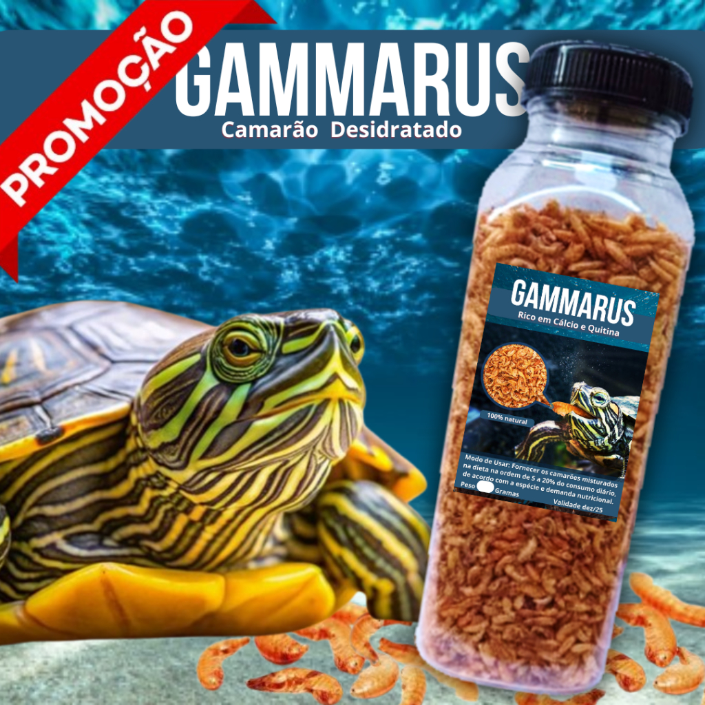 Camarão Gammarus Importado Pote 250ml/30g ou 500ml/60g - Camarão ...
