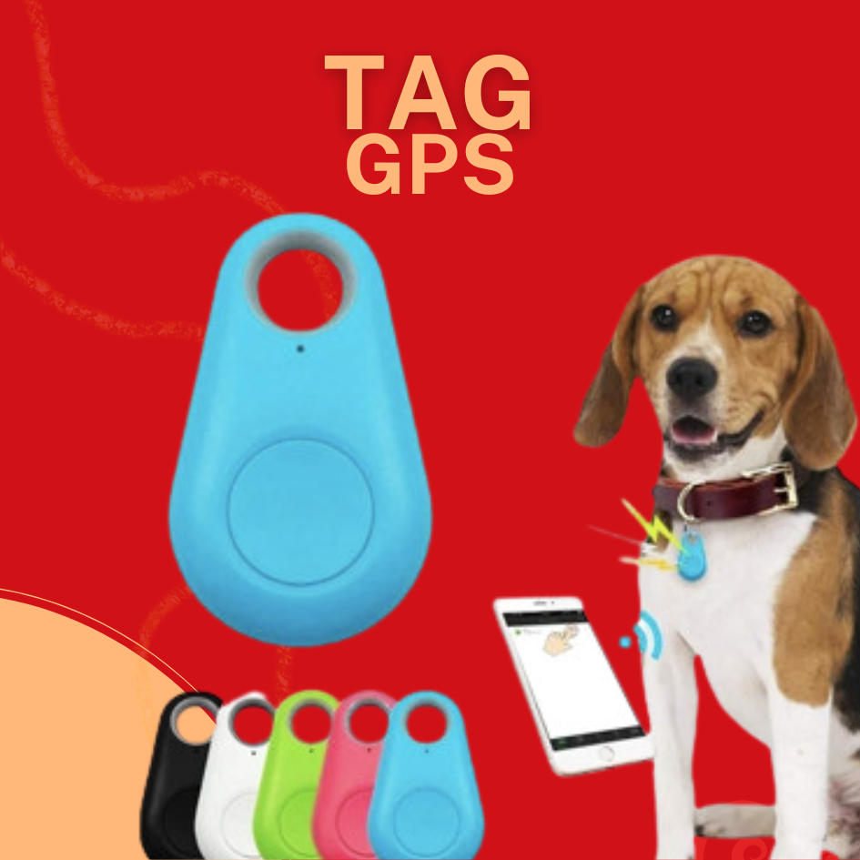 Localizador Anti Perda GPS Mini Rastreador ITAG Pet Mochila Bolsa ...