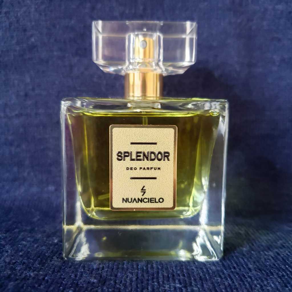 Splendor Nuancielo Perfume Masculino | Shopee Brasil