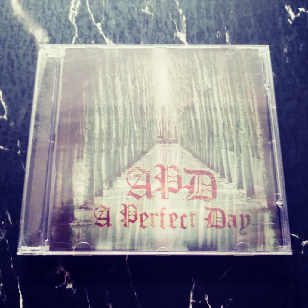 A PERFECT DAY ( A PERFECT DAY ) CD RARO IMPORTADO - HARD ROCK - EUROPEU ...