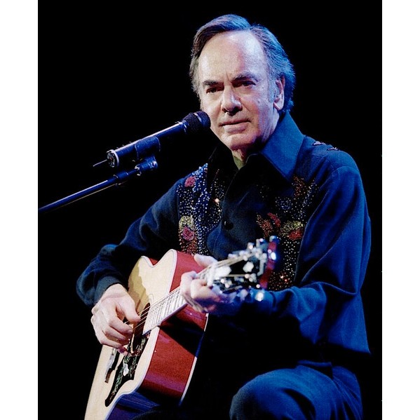 DISCOGRAFIA neil diamond (collection) | Shopee Brasil