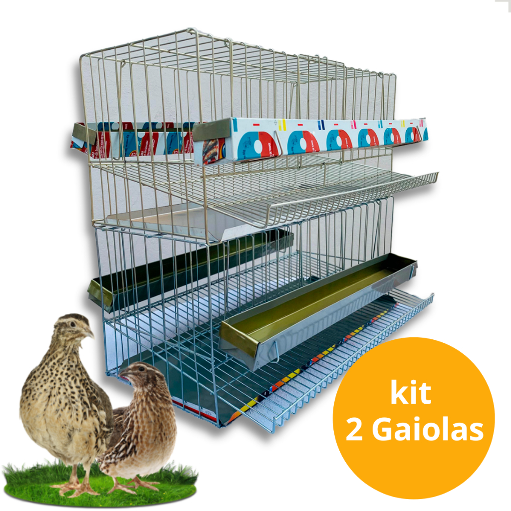 Kit 2 Gaiolas de Codorna Poedeira Viveiro Completo 20 Aves | Shopee Brasil