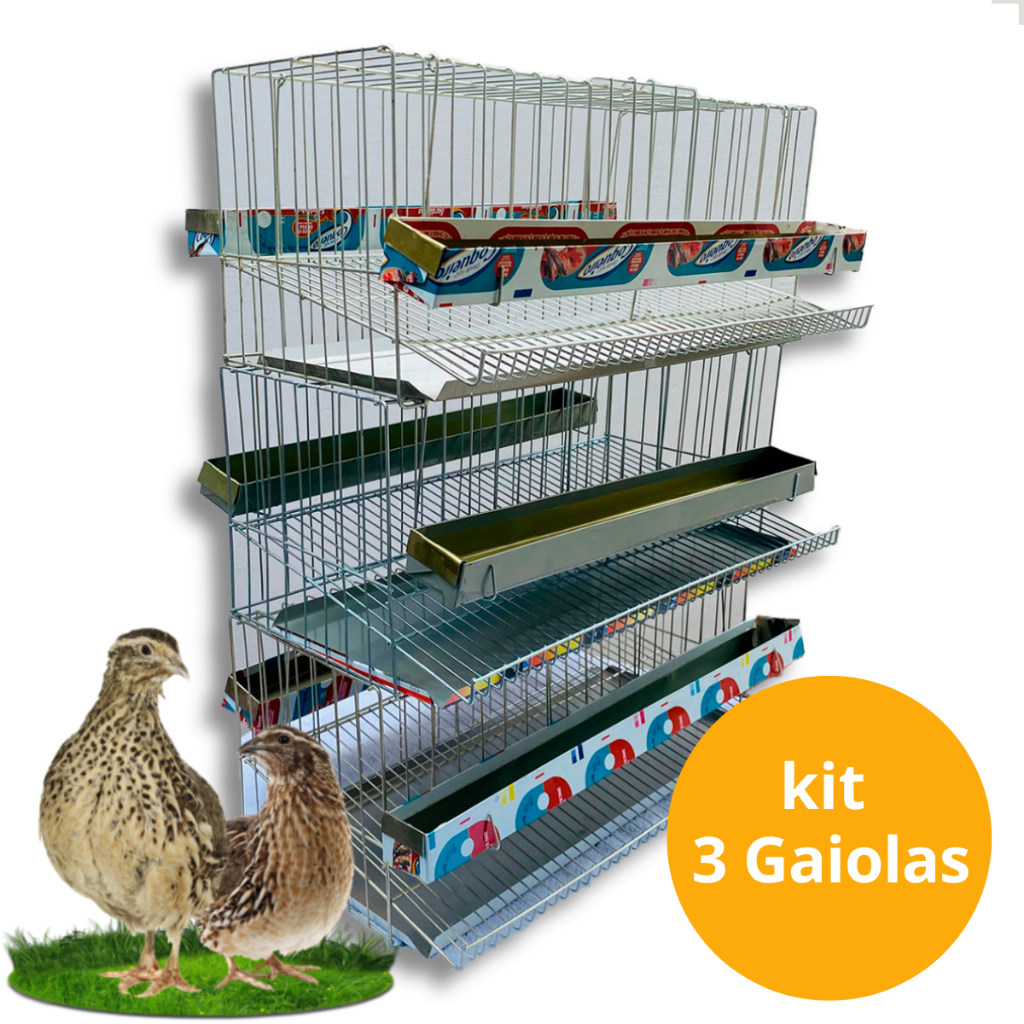 Kit 3 Gaiolas de Codorna Poedeira Viveiro Completo 30 Aves | Shopee Brasil