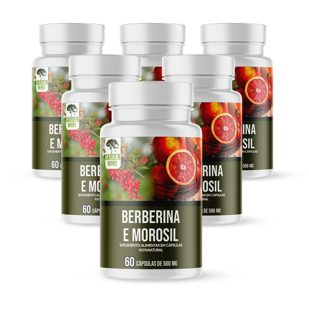 Kit 6x Berberina + Morosil ( Extrato 100%Puro ) 500 Mg - 60 cápsulas | Shopee Brasil