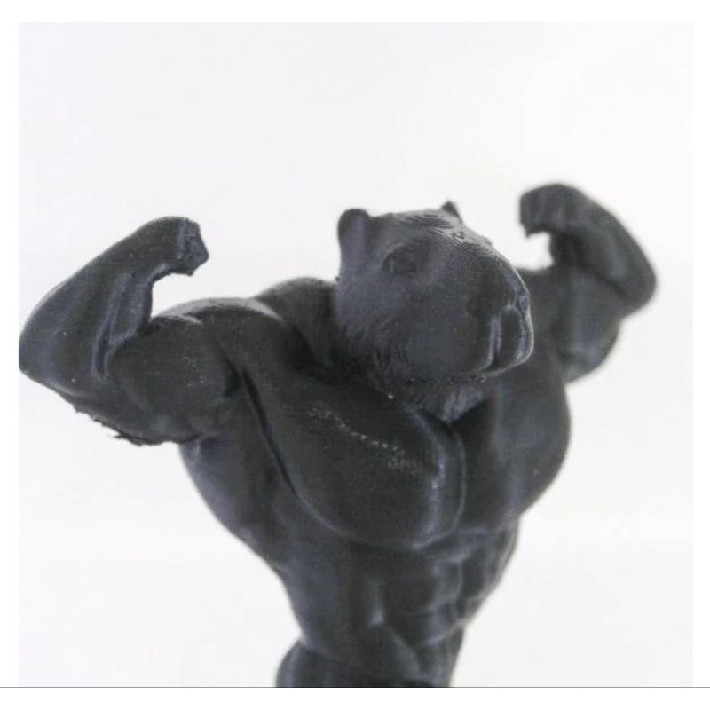 capivara maromba bodybuilder -RESINA 15CM | Shopee Brasil