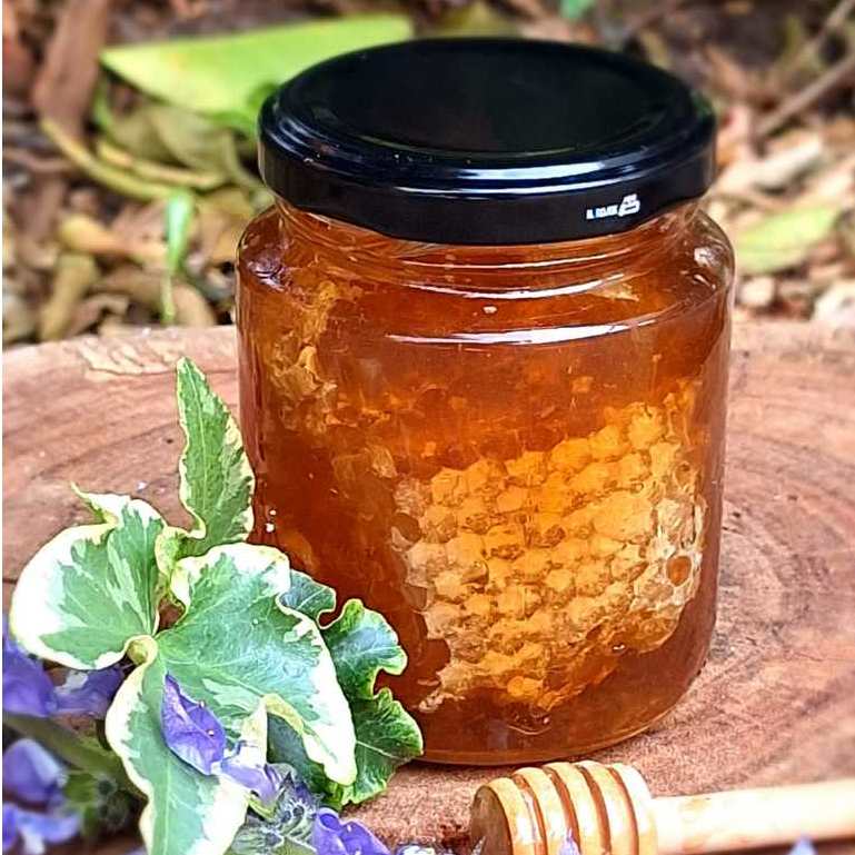 Mel no favo pote de vidro 300gr +colher meleira. Mel cru, 100% puro ...