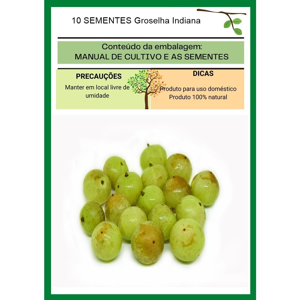 10 Sementes Groselha Amla Phyllanthus Emblica Indiana | Shopee Brasil