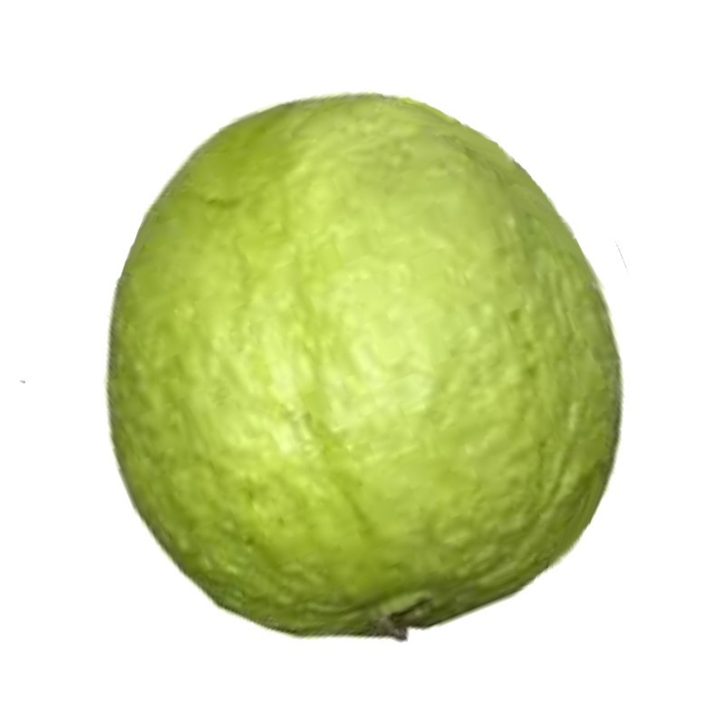 Kit Sementes de Goiaba Tailandesa Vermelha Gigante para plantio de ...