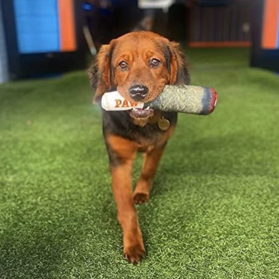Brinquedo para PET "ponta de baseado" gigante para cachorros de espuma ...