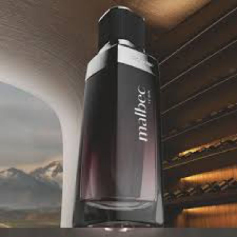 Perfume Malbec Masculino 100ML | Shopee Brasil