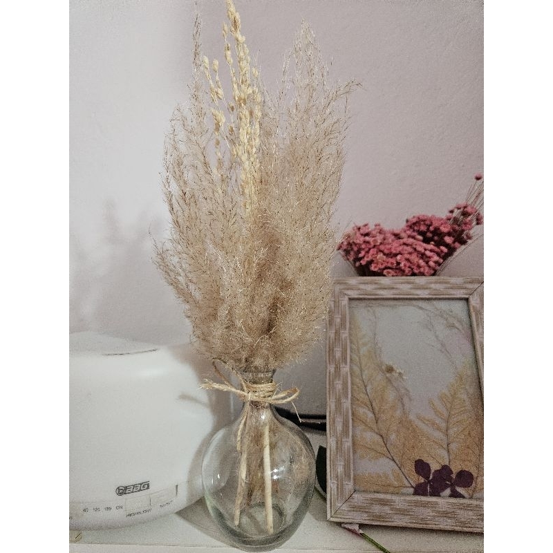 kit com 5 unidades Mini capim dos pampas | Shopee Brasil