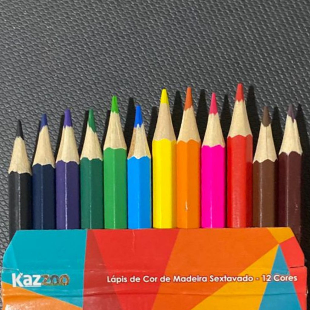 Zoo - Kaz Lápis De Cor C/12 Cores | Shopee Brasil