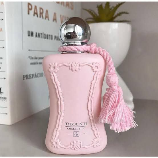 Perfume feminino de luxo presente Brand Collection 151 - Delina ...