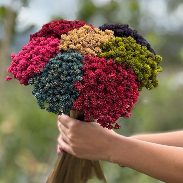 Espeta nariz COLORIDA - 1000 unidades | Shopee Brasil