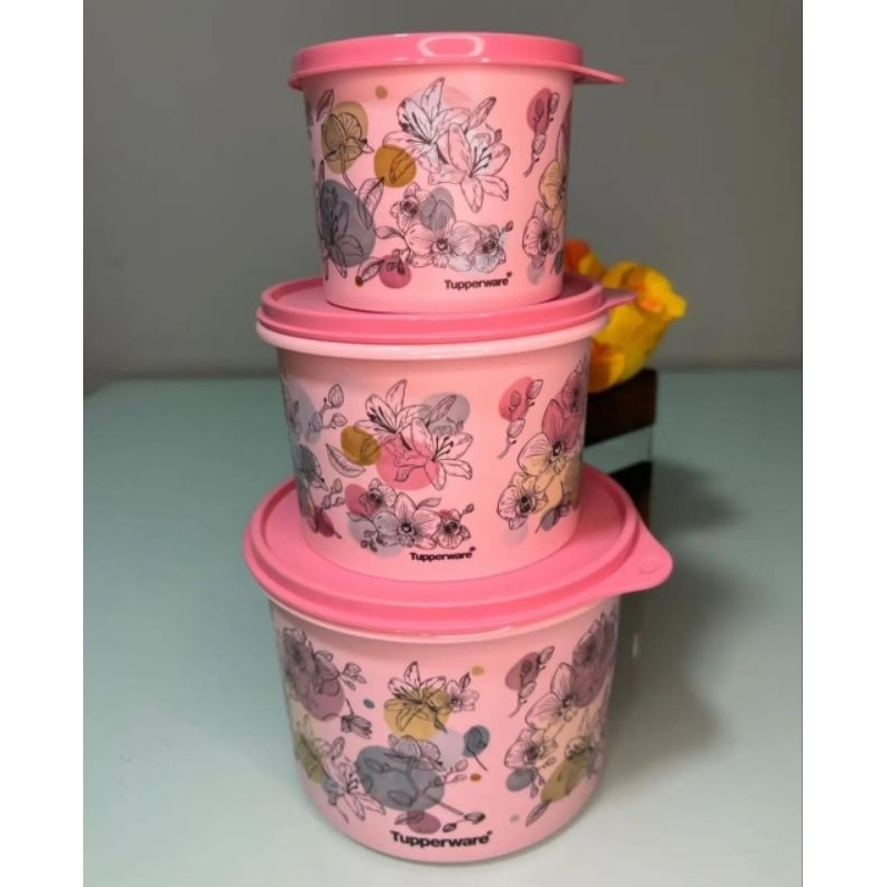 Potes Tupperware | Shopee Brasil