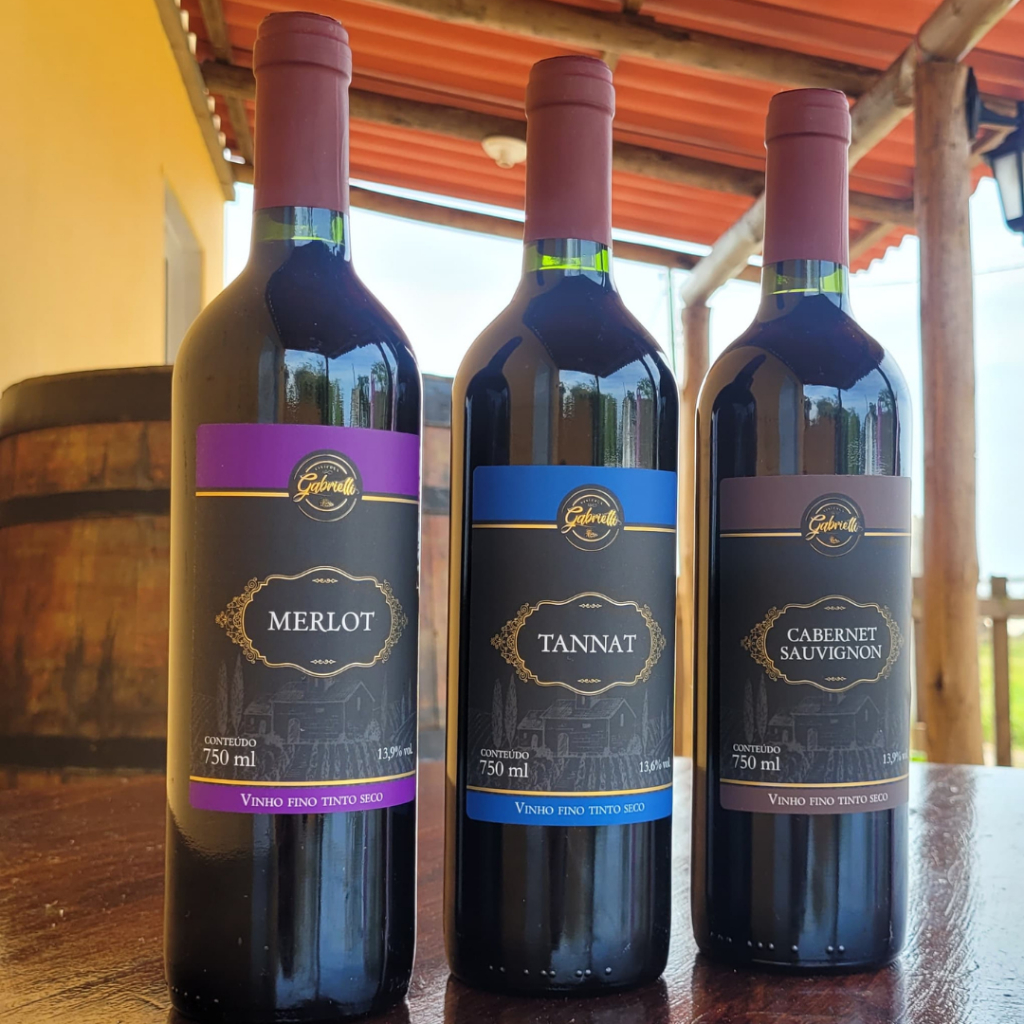 Kit Vinho Tinto Seco Artesanal Uvas Merlot Cabernet Sauvignon Tannat 3 ...