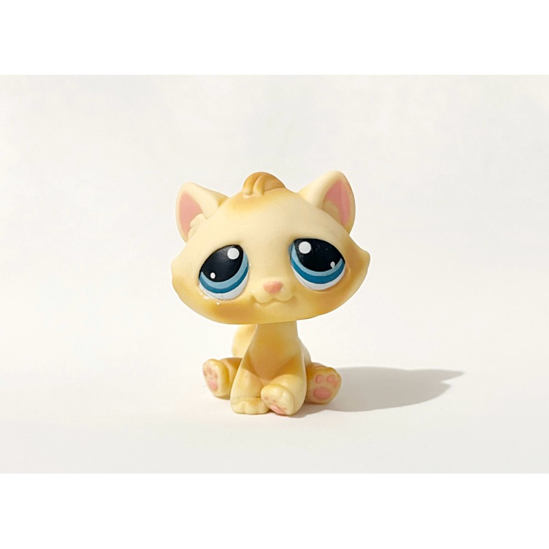 Littlest Pet Shop Bon Bon Cat - Usado | Shopee Brasil