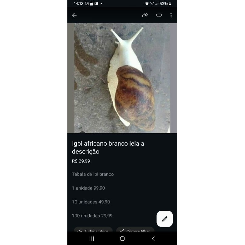 igbin | Shopee Brasil