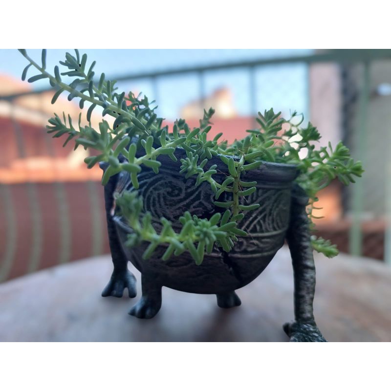 Cachepot/Porta Objetos "Jarro Vivo (Living Jar)" - The Elden Ring | Shopee Brasil