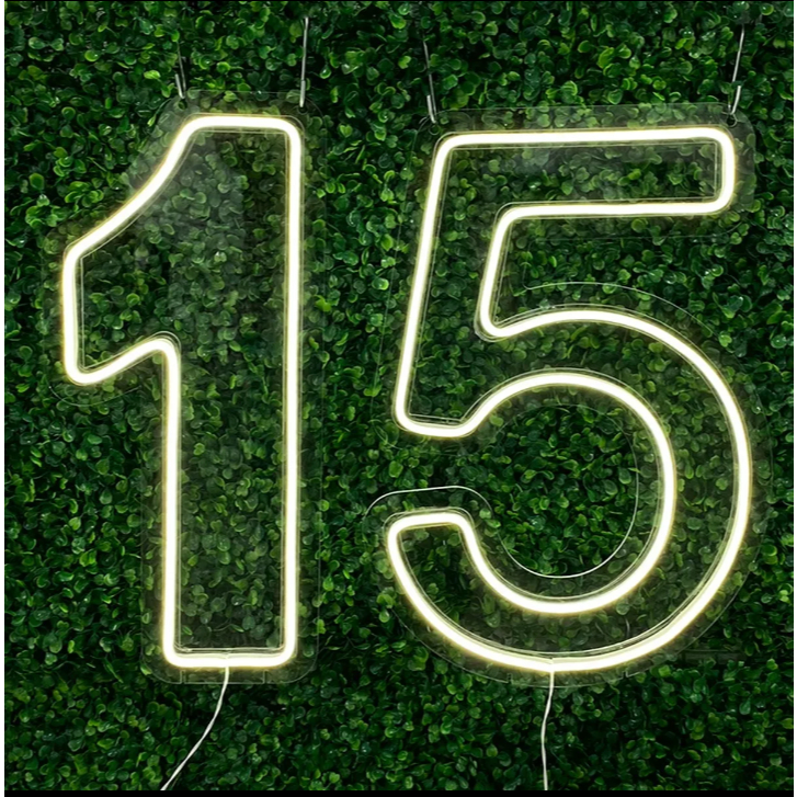 Led Neon Numero 15 Acrilico 3mm Festa Aniversario Quinze Ano | Shopee ...