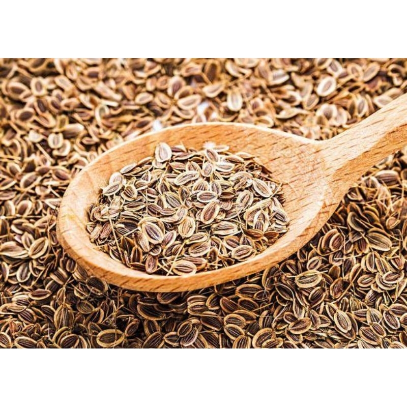Endro - PREMIUM - 100 gr. | Shopee Brasil