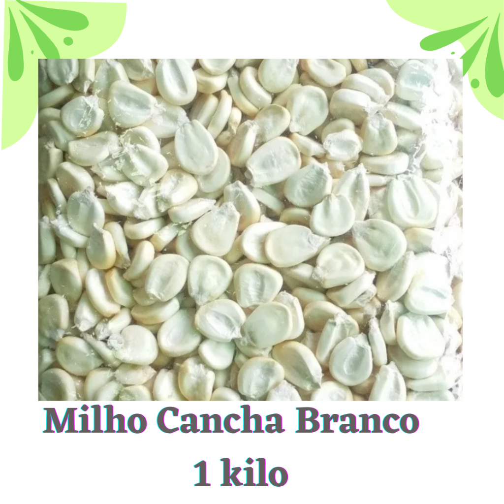 Milho Maiz Camcha Blanco 1kilo y 500 gr. Semente y para Cozhinar ...
