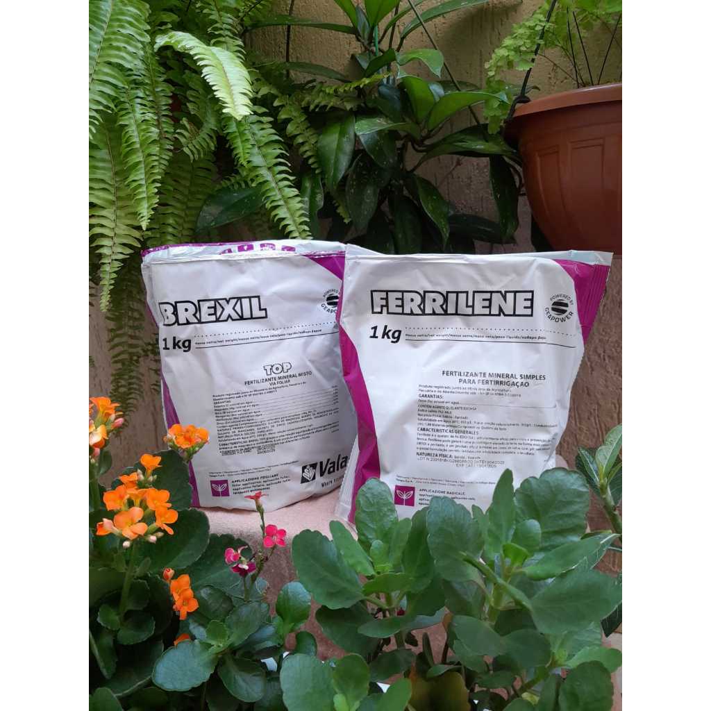 Ferrilene 1lg Valagro Fertilizante Micronutrientes Hidroponia | Shopee ...