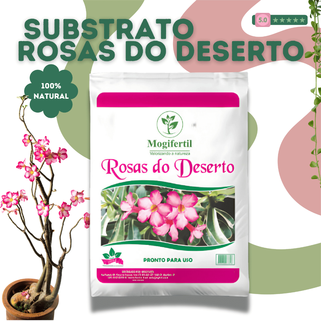 Substrato para Rosas do Deserto 5Kg - Drenagem, Nutrição e Crescimento ...