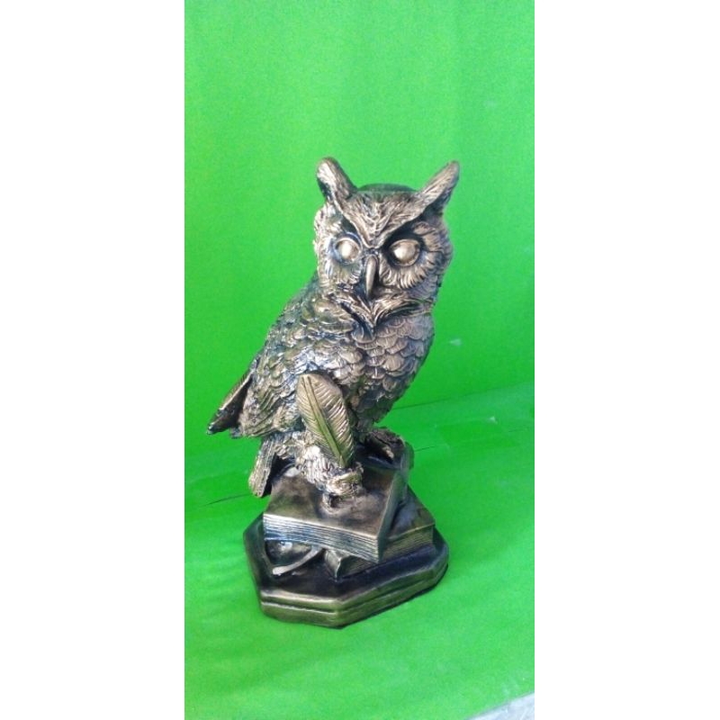 CORUJA NO LIVRO SÍMBOLO DE SABEDORIA 20CM | Shopee Brasil