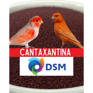 Cantaxantina Vermelha DSM Carophyll Red Francesa Importada Original p ...