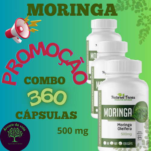 Moringa Oleifera - COMBO COM 3 POTES 360 CÁPSULAS | Shopee Brasil