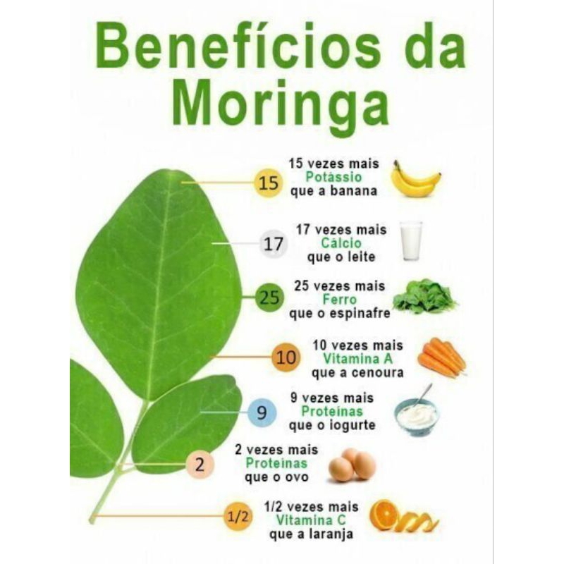 Chá de Moringa em pó Natural Original 500gramas | Shopee Brasil