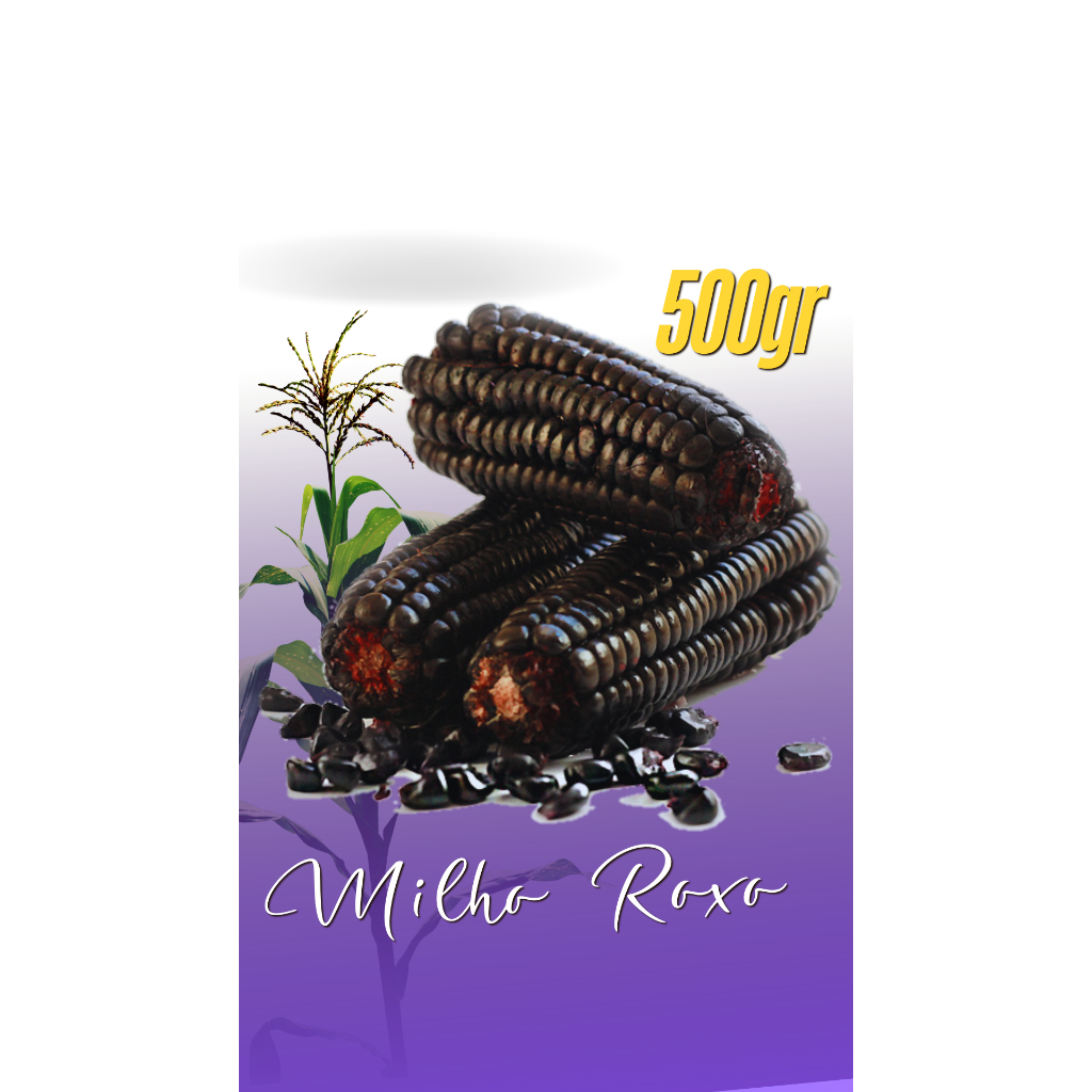 Semente Milho Roxo Maiz Morado Perú 1 kilo semente | Shopee Brasil