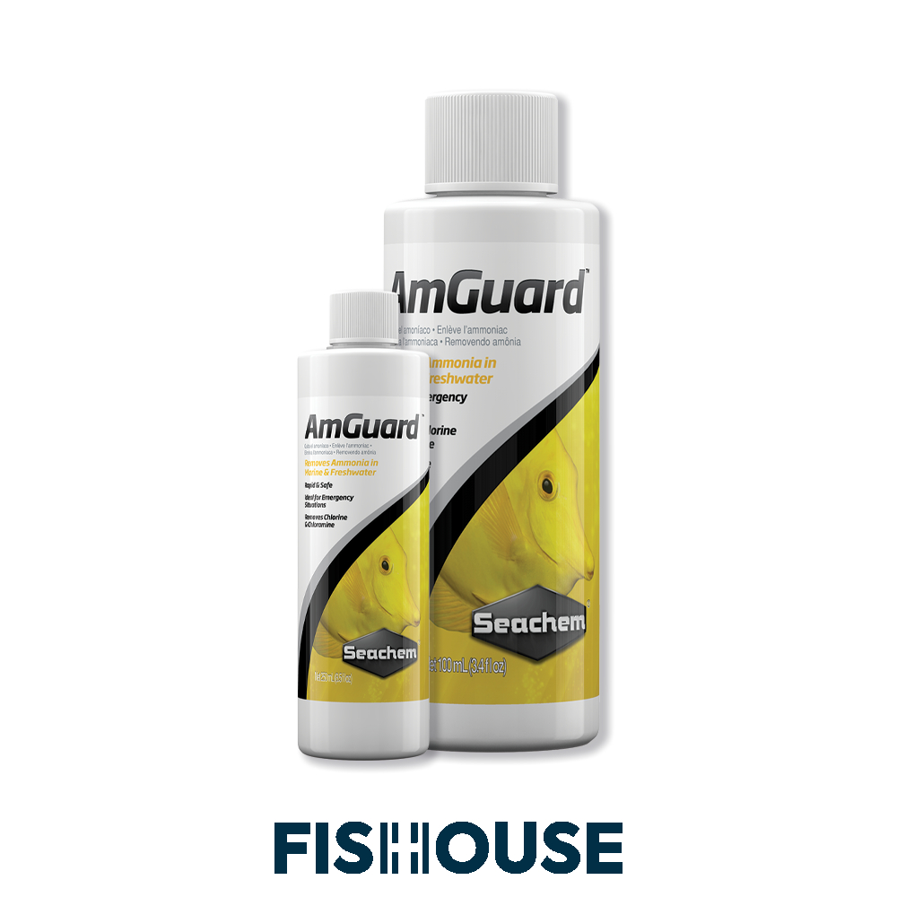 Removedor de amônia - AmGuard - Seachem | Shopee Brasil