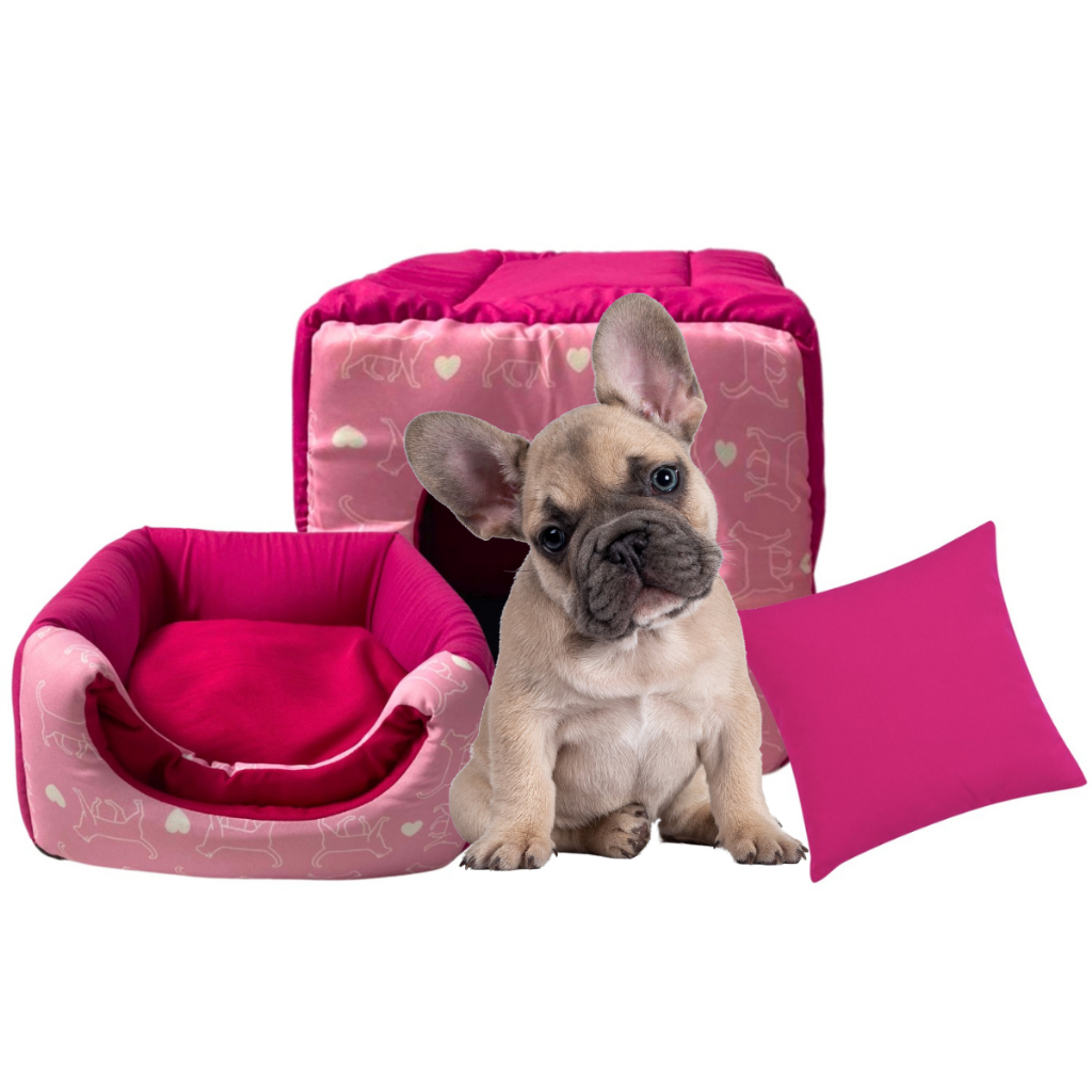 Caminha Iglu Para Pets Com Conforto E Praticidade Para Seu Animal Toca ...