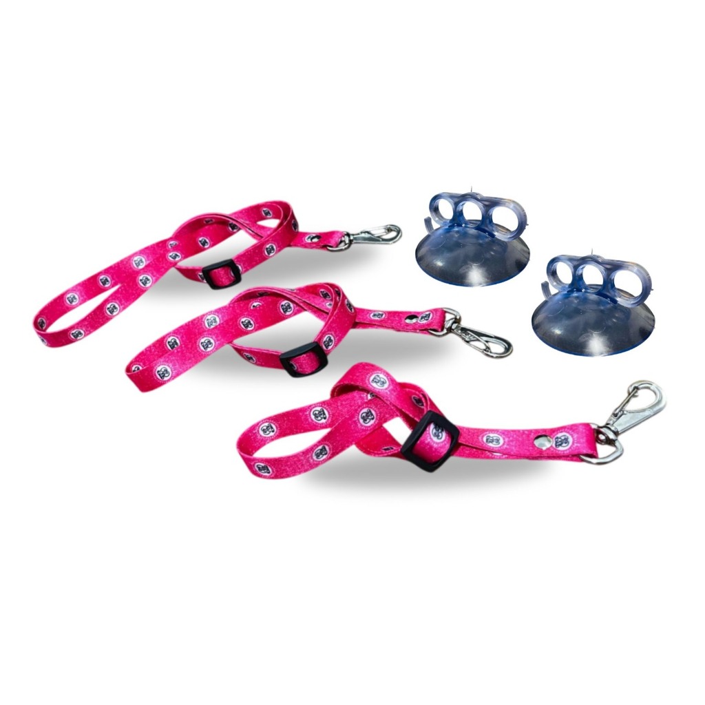 Ventosa + Guia De Contenção Pmg Pet Shop Banho Tosa Rosa | Shopee Brasil