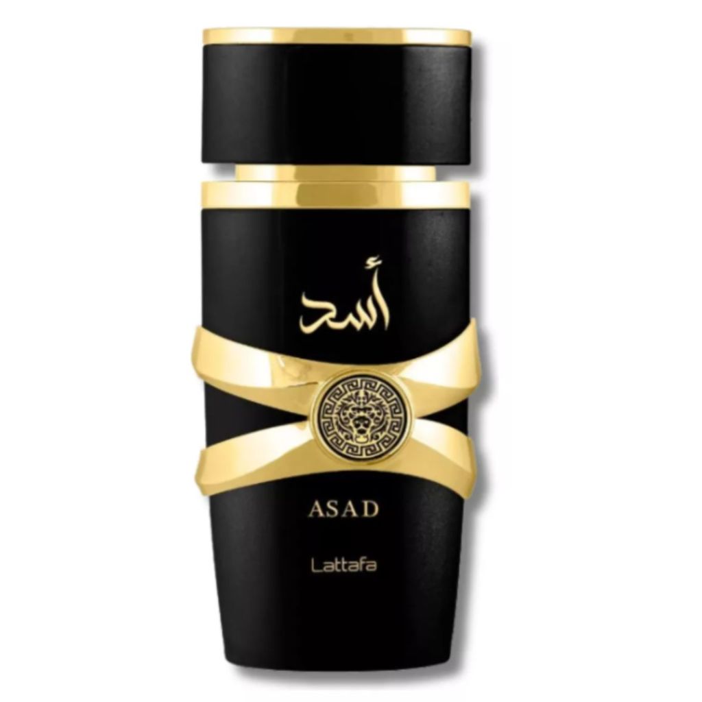 Perfume Arabe Asa Importado - 100ml | Shopee Brasil